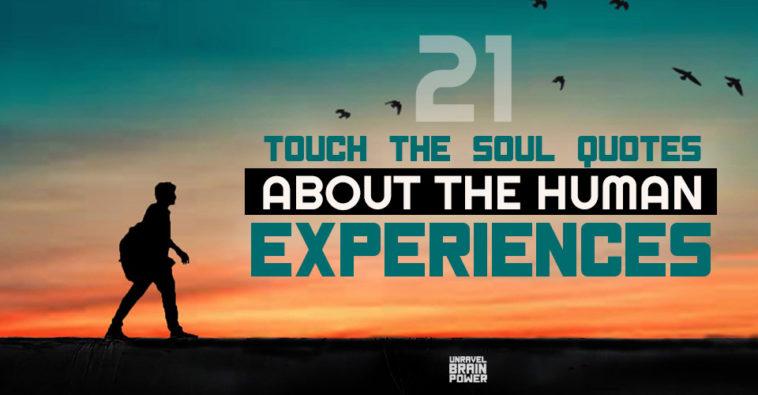 21 Touch The Soul Quotes About The Human Experiences