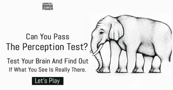 Can You Pass The Perception Test? - Unravel Brain Power