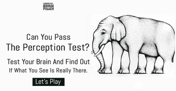 Can You Pass The Perception Test? - Unravel Brain Power
