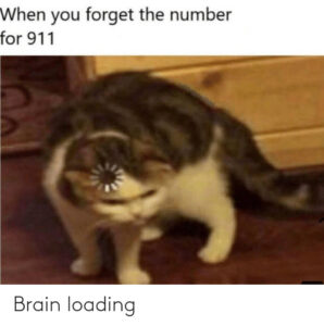18 Funny Loading Cat Memes For Some Laughs - Unravel Brain Power