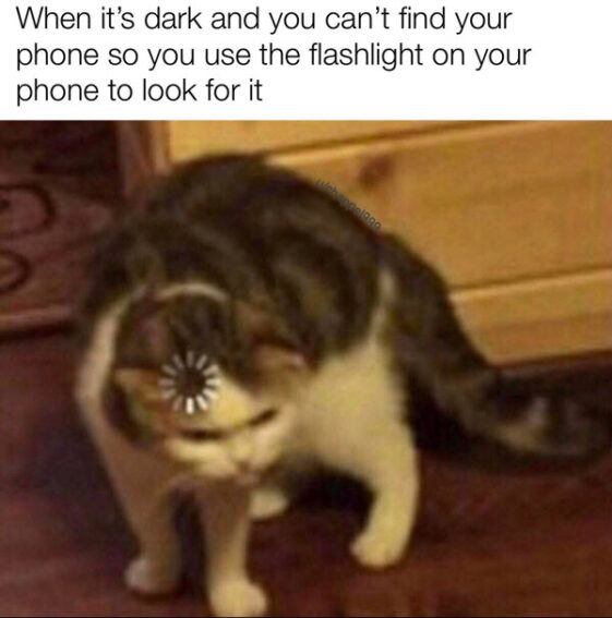 18 Funny Loading Cat Memes For Some Laughs - Unravel Brain Power