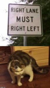 18 Funny Loading Cat Memes For Some Laughs - Unravel Brain Power
