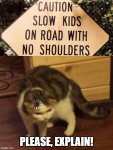 18 Funny Loading Cat Memes For Some Laughs - Unravel Brain Power