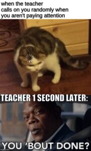 18 Funny Loading Cat Memes For Some Laughs - Unravel Brain Power
