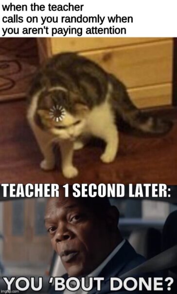 18 Funny Loading Cat Memes For Some Laughs - Unravel Brain Power