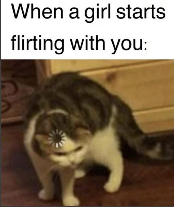 18 Funny Loading Cat Memes For Some Laughs - Unravel Brain Power