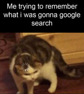 18 Funny Loading Cat Memes For Some Laughs - Unravel Brain Power