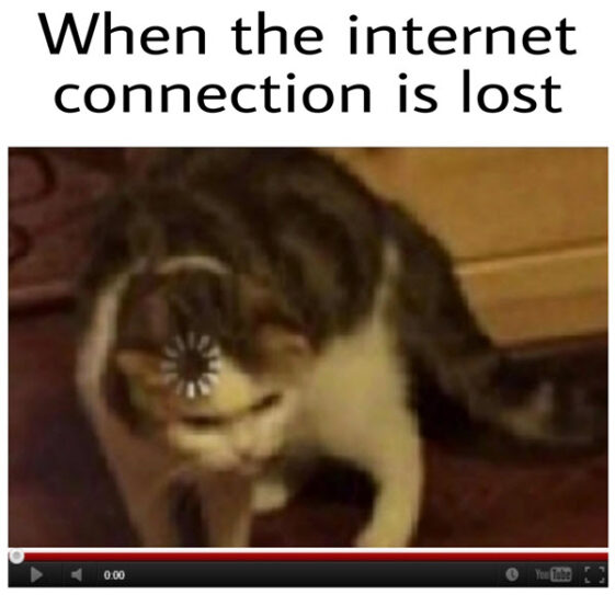 18 Funny Loading Cat Memes For Some Laughs - Unravel Brain Power