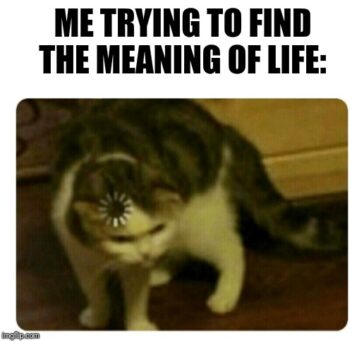 18 Funny Loading Cat Memes For Some Laughs - Unravel Brain Power