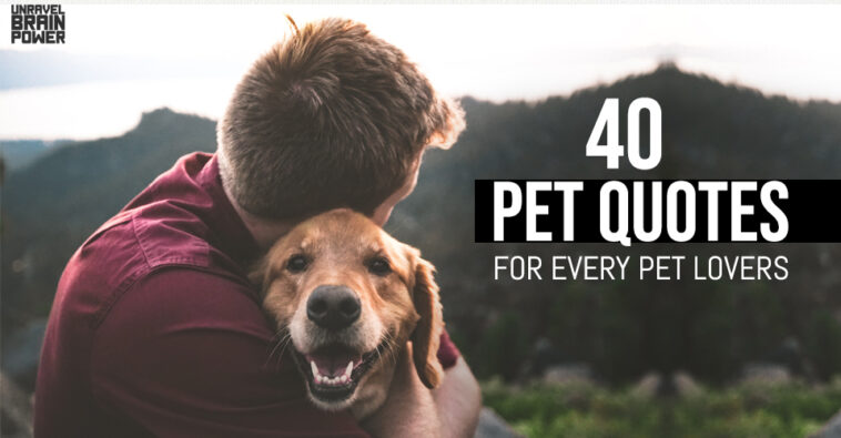 40 Pet Quotes For Every Pet Lovers - Unravel Brain Power